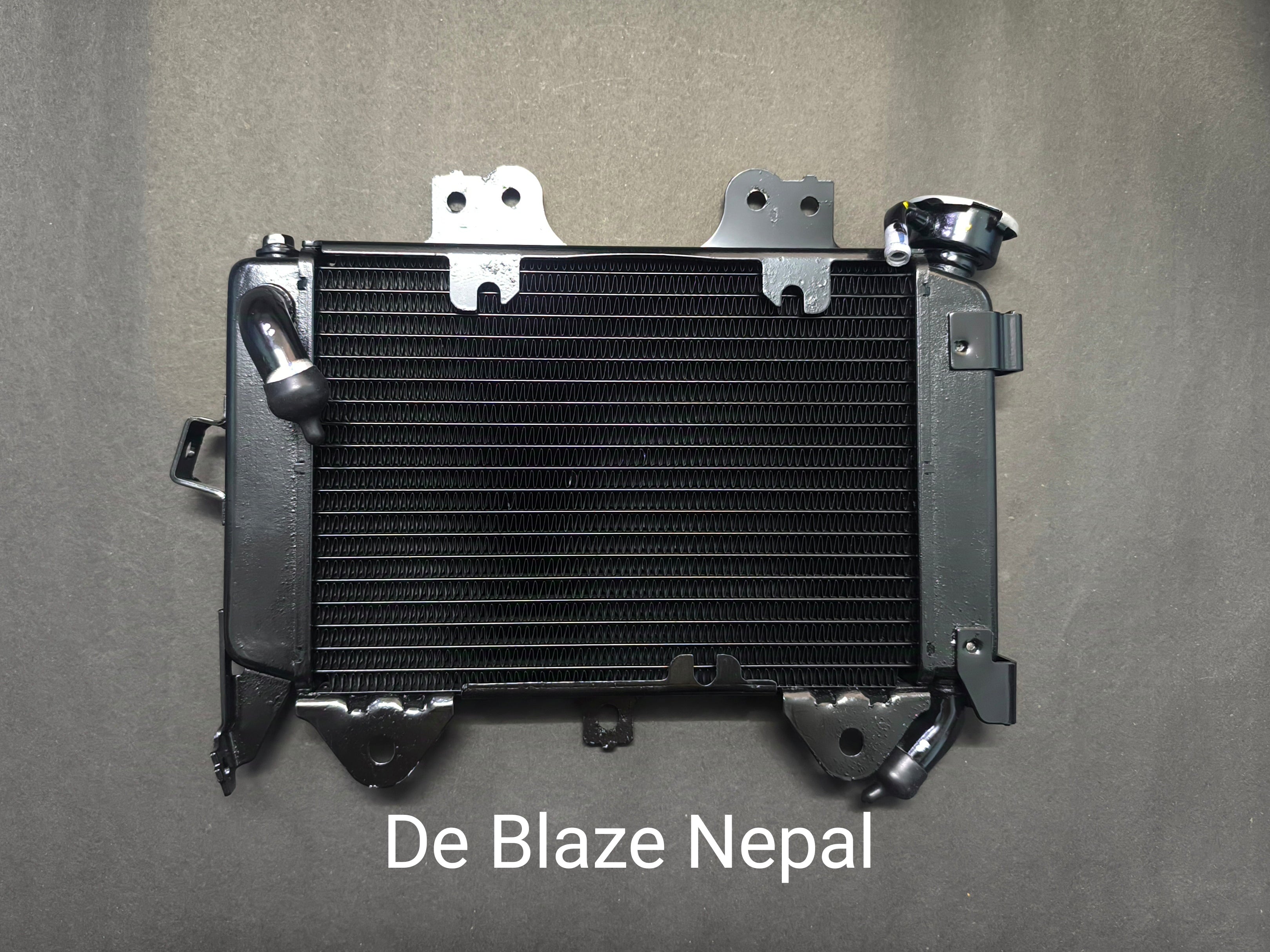 Bajaj NS 200 Radiator – De Blaze Nepal