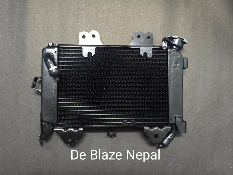 Bajaj NS 200 Radiator – De Blaze Nepal